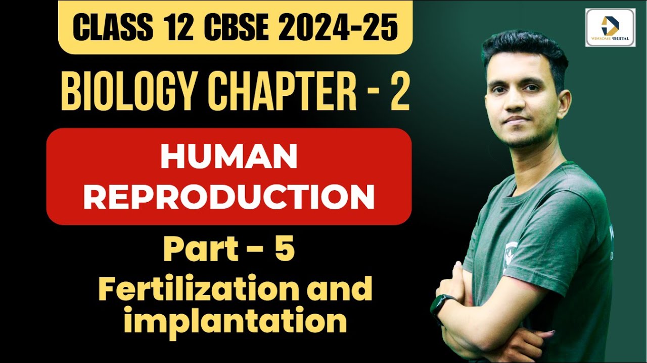 Class 12 Biology chapter 2 | Human Reproduction | Part 5 ...