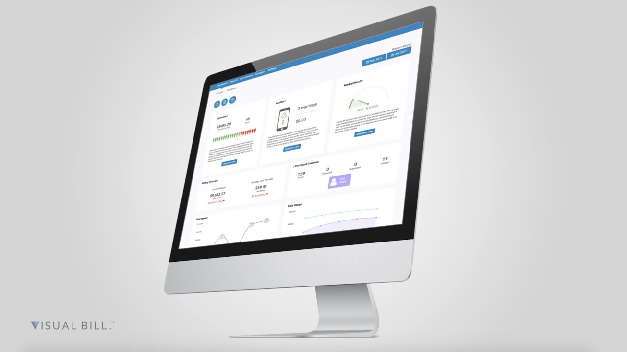 Introducing Visual Bill - YouTube