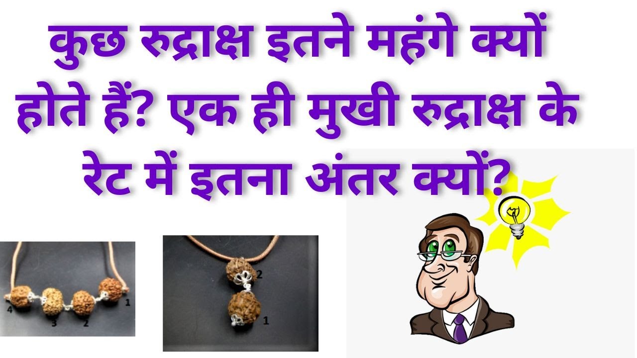 ?why Rudraksha Is Expensive I Why Rudraksha Is Costly Most Expensive ...