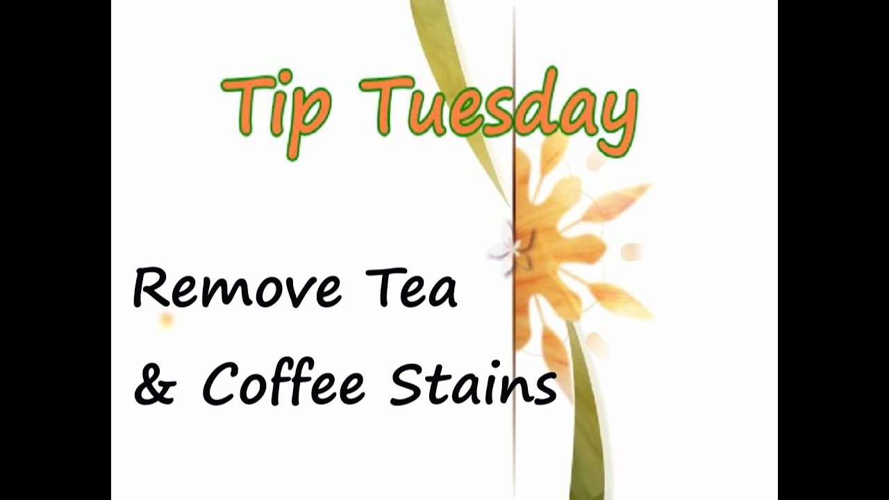 Remove Tea and Coffee Stains - Tip Tuesday | Show Me The Curry - YouTube