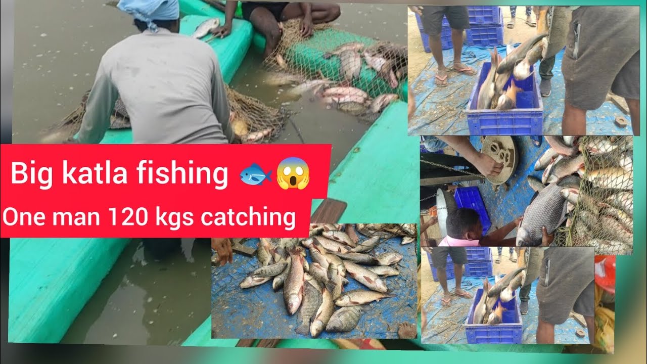 fishing big fishes 🐟 fisherman all 4tons loaded 🚚 fishing in lake # ...