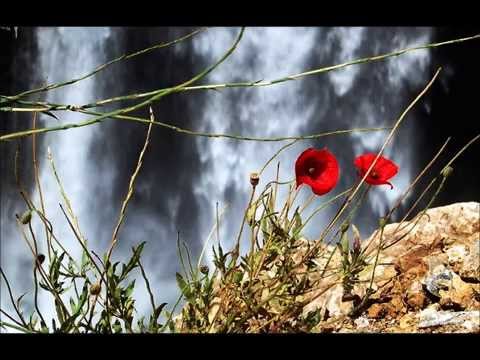 Silbus U Tari - Ay Dilbere