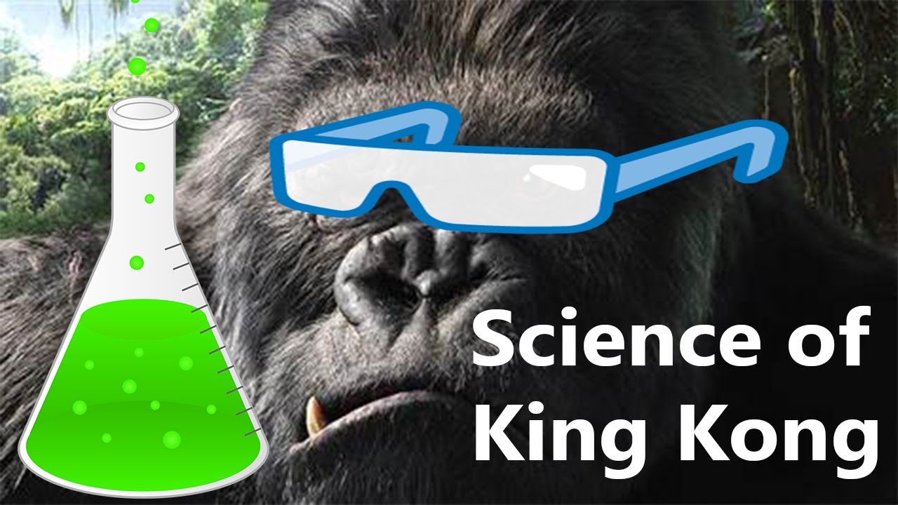 Science of King Kong - YouTube