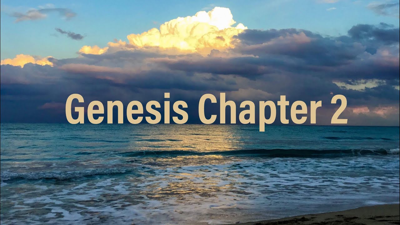The Garden of Eden: A Paradise Created - Bible Study of Genesis Chapter 2 - YouTube