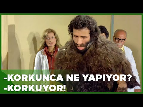 Hanzo Türk Filmi | Hanzo Hastanede İnceleniyor!