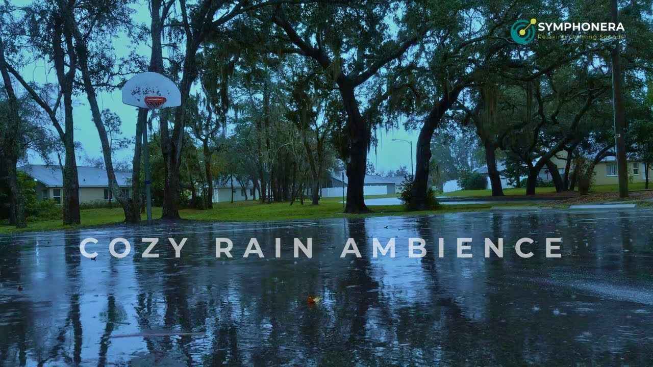 Cozy Rain Ambience for Sleep, Relaxation & Focus | Gentle Rain Sounds ...