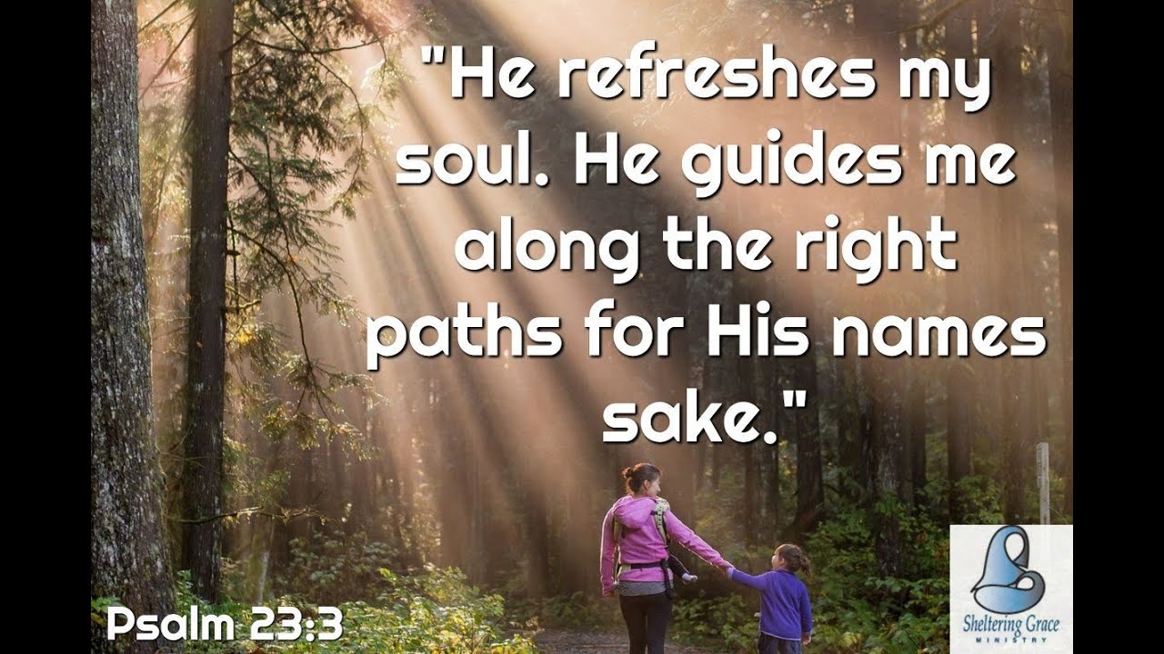 Psalm 23:3-4 Be guided by the Shepheard. - YouTube