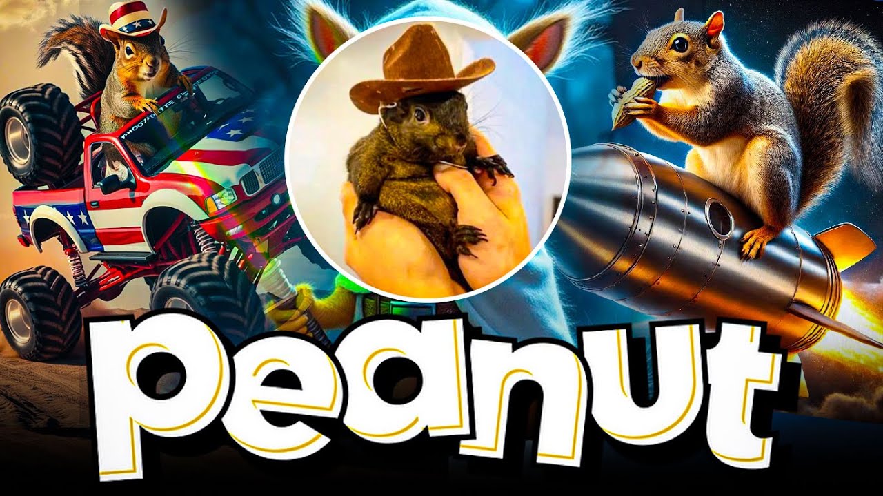 PEANUT ($PNUT on Sol) Pumps on Binance Listing! - YouTube