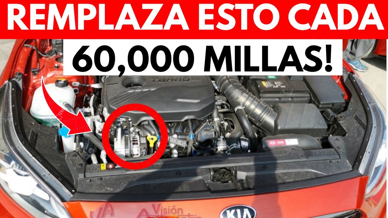The #1 Reason Kia Engines Fail Early (And How to Prevent It) - YouTube