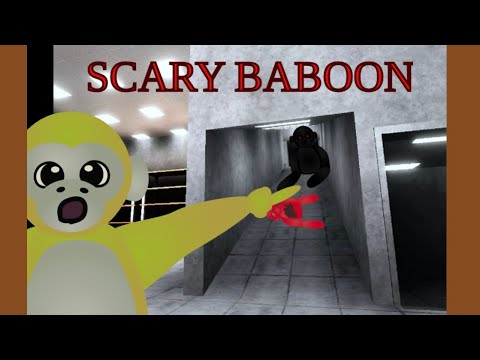 scary baboon - YouTube