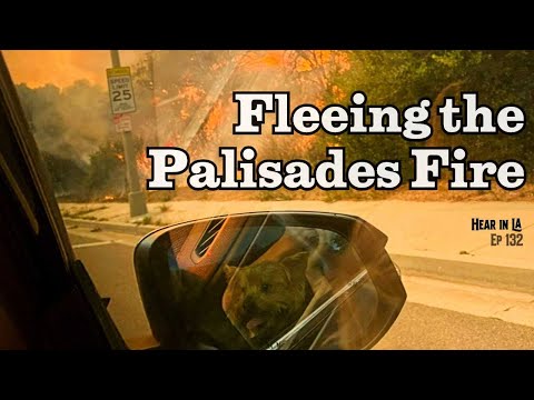 Palisades fire survivor: Peter Viles on his harrowing escape - YouTube