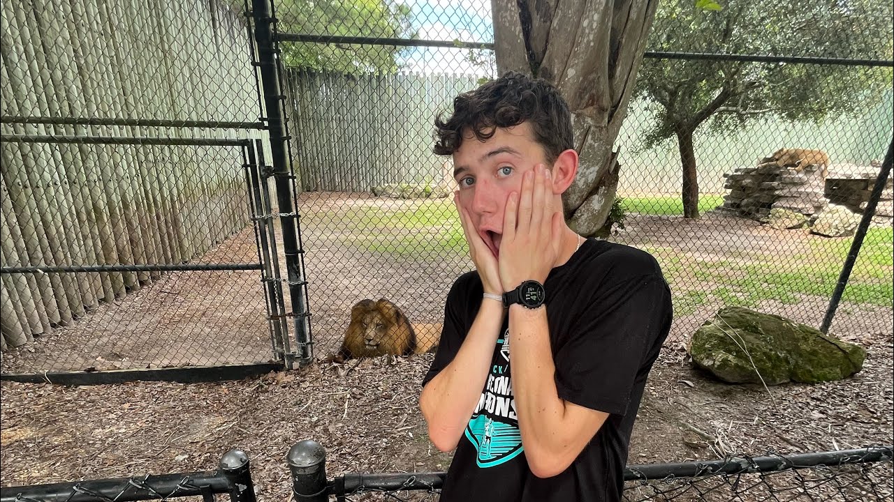 IB Theatre Collaborative Project - YouTube