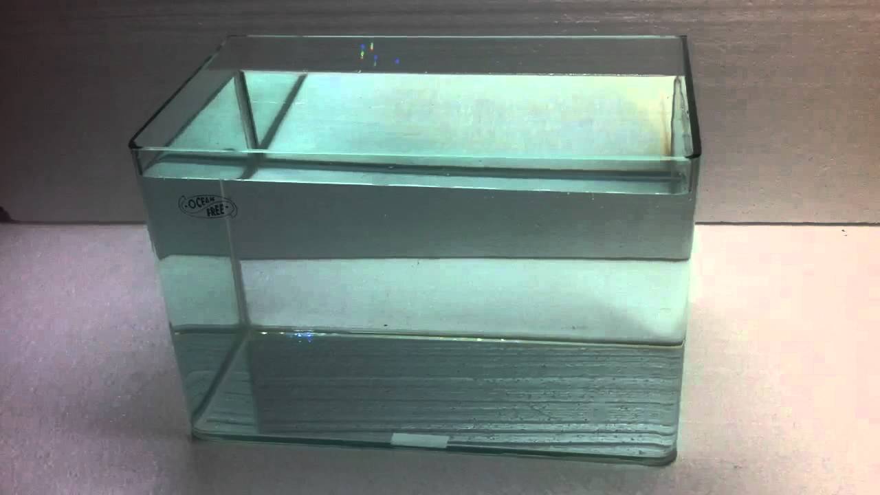 Acvariu Sticla Ocean Free U Tank - YouTube