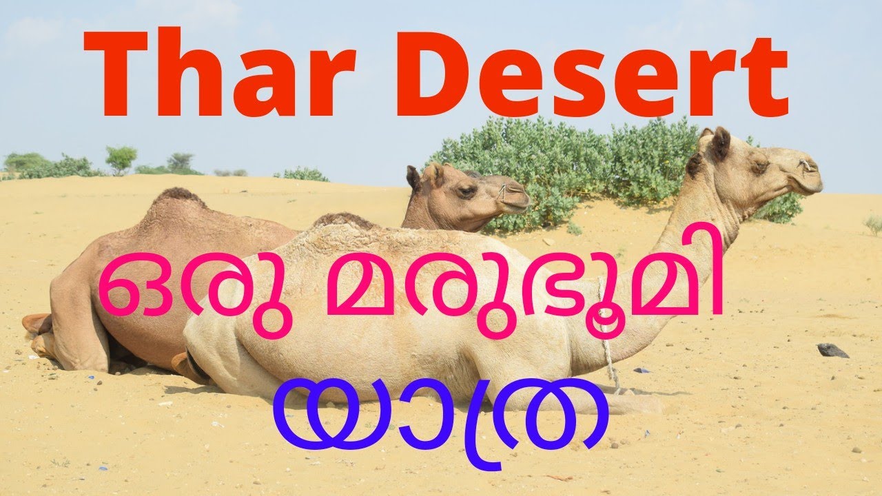 | ഒരു മരുഭൂമി യാത്ര | Thar Desertar | Marubhumi | Rjasthan | Old is ...