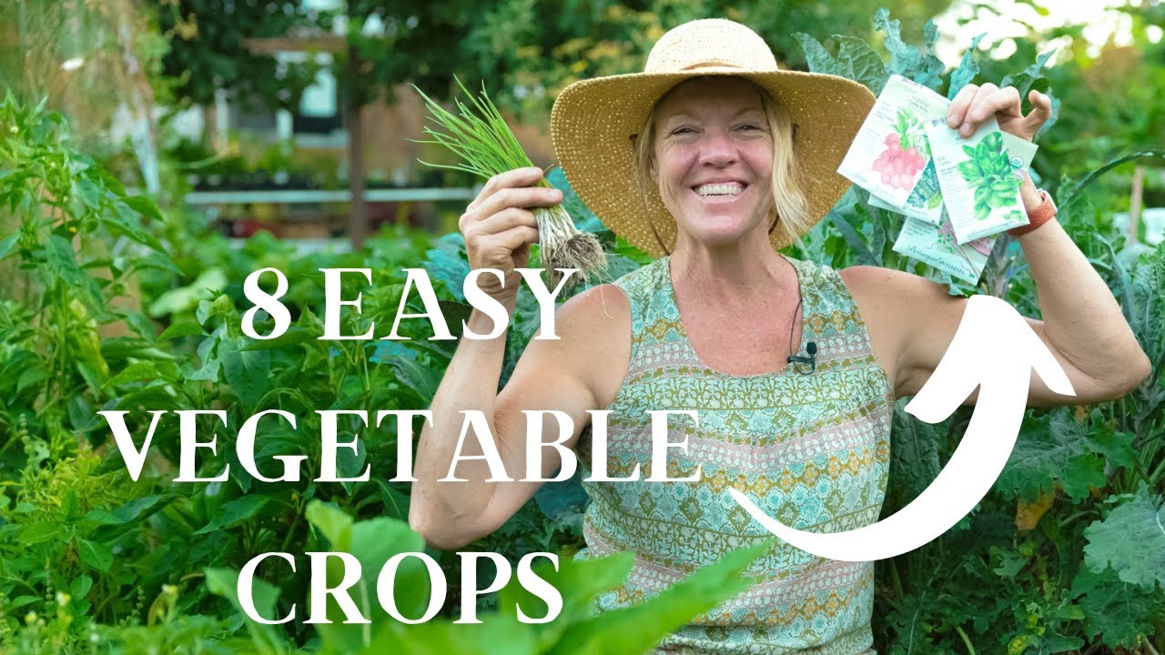 8 Easy Vegetable Crops To Grow In September - YouTube