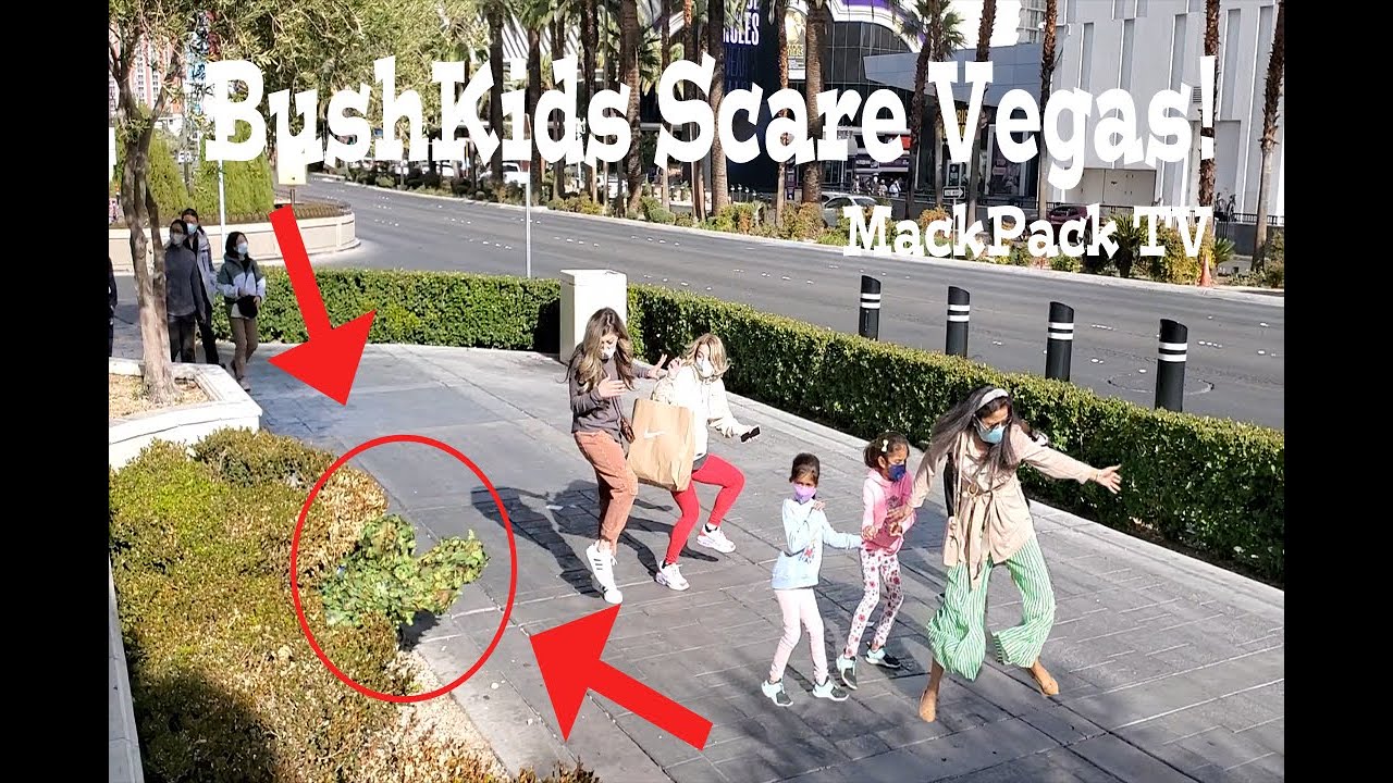 BushKids Scare Vegas...Again! - YouTube