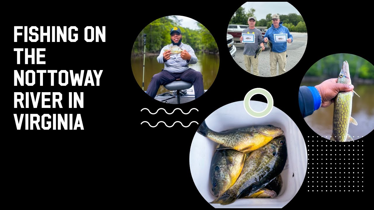 Fishing On The Nottoway River In Virginia - YouTube