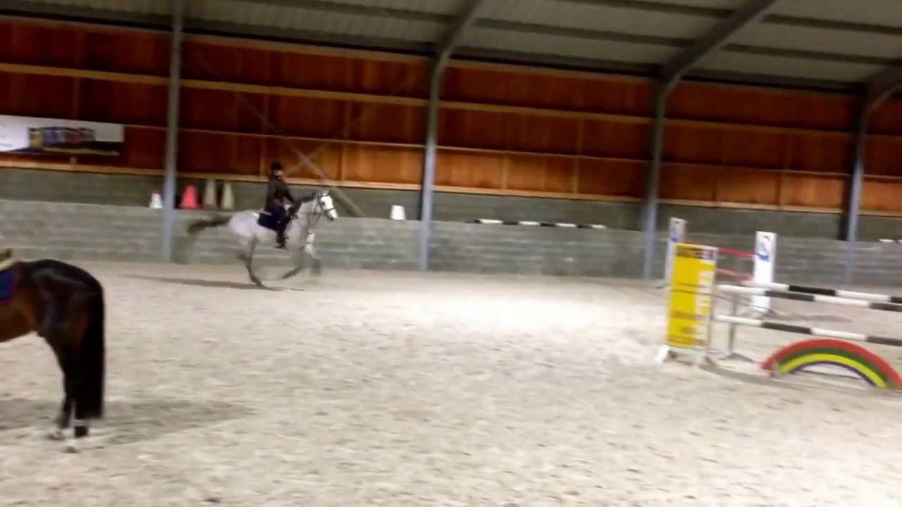 Bill gates Chavannais, 7 years old stallion by Cassini-II - YouTube