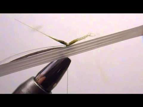 Lesson 7. Size 22 Extened Body BWO - YouTube