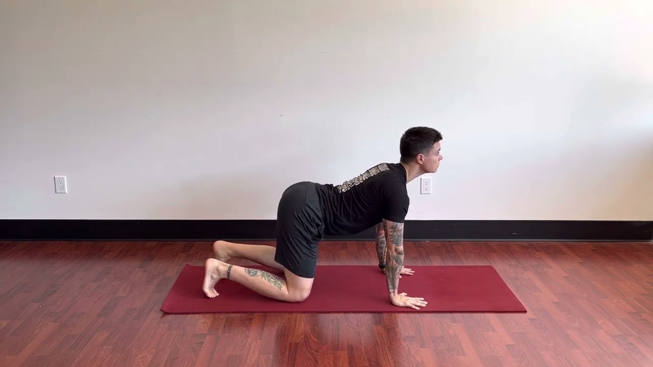 PPSC Mobility - Cat & Cow (Hover at Neutral) - YouTube