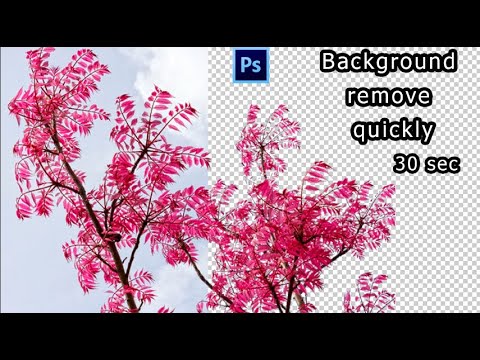 How to remove Random Tree background quickly 30 second in photoshop cs6 |Advance background remove