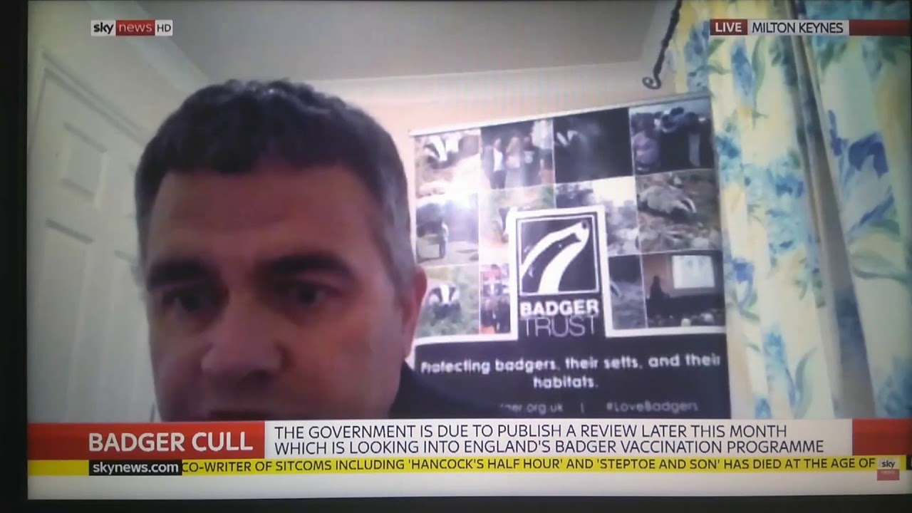 Sky News: Dominic Dyer - Badger Cull #NationalBadgerDay - YouTube