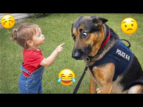 Try Not To Laugh 😂 Hilarious Dog Moments Caught on Camera #35