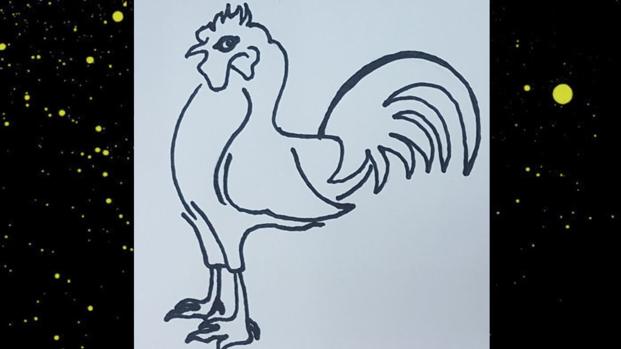 How to draw Rooster || Rooster outline drawing easy - YouTube