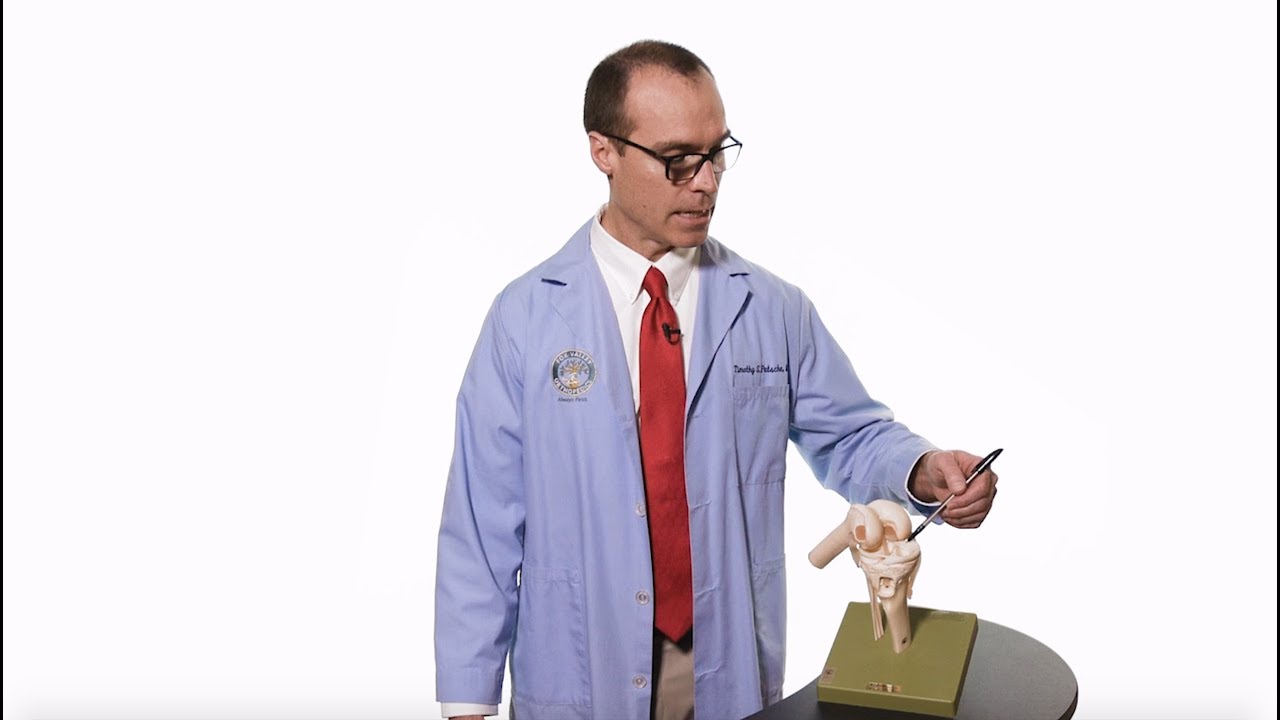 Collagen Implant Explained by Dr. Timothy Petsche - YouTube