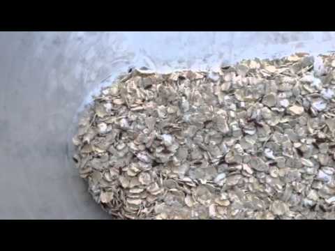 ALDI PORRIDGE OATS WITH ADDED NUTRIENTS - YouTube
