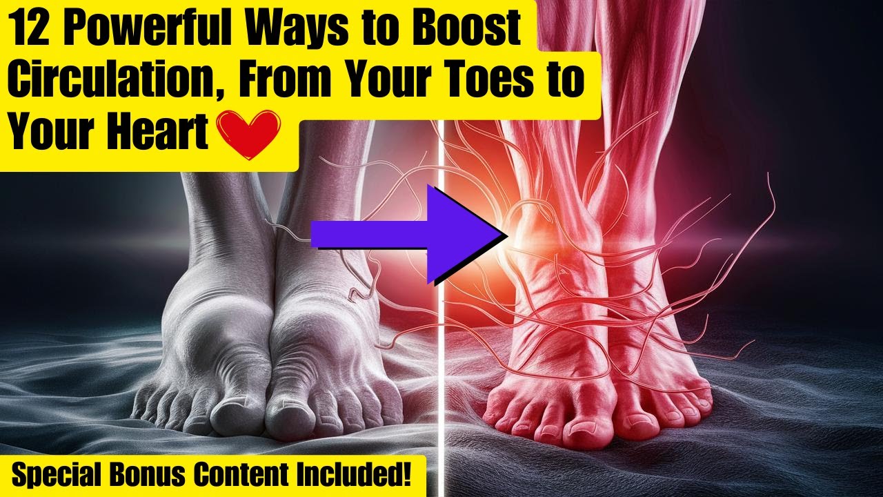 12 Powerful Ways to Boost Circulation: From Your Toes to Your Heart ...