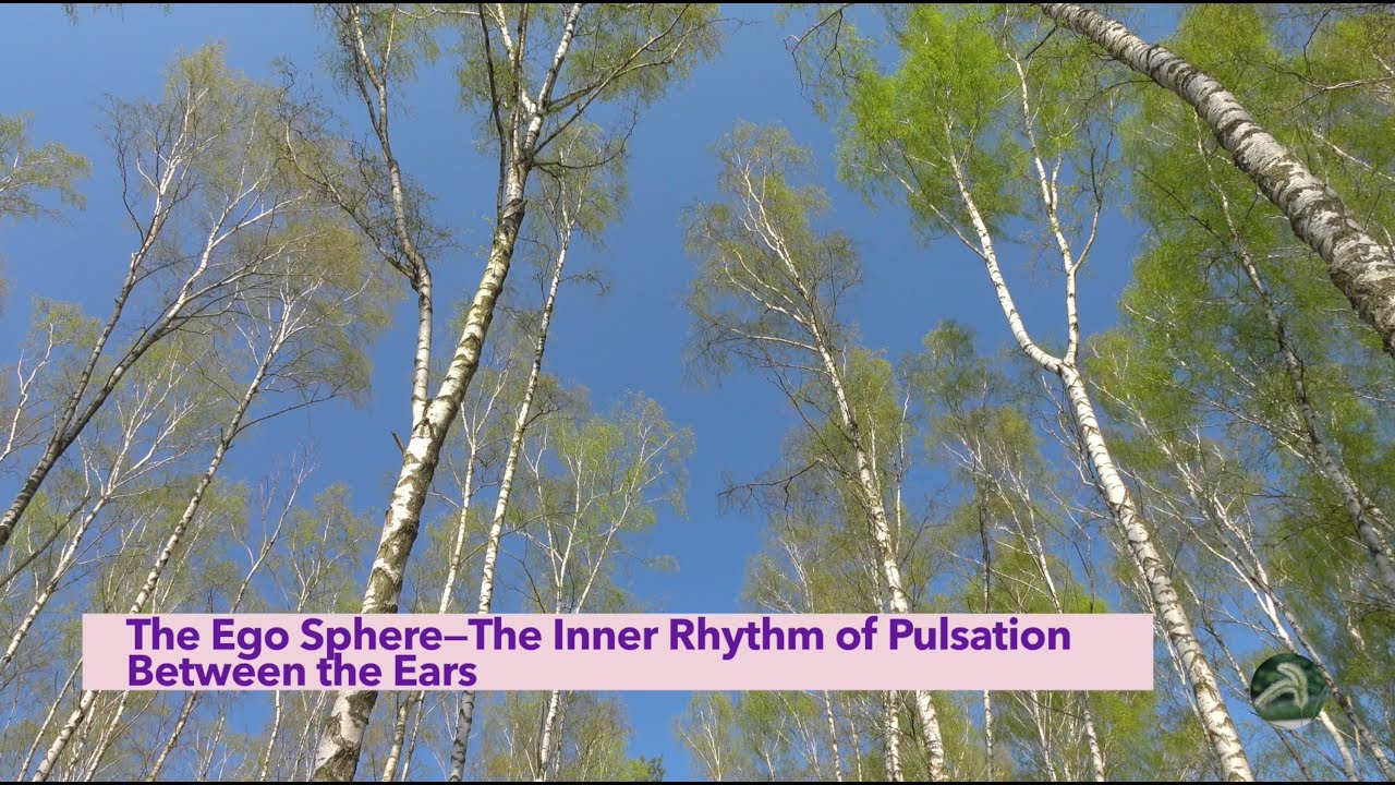 The Ego Sphere—The Inner Rhythm of Pulsation Between the Ears 本我輪 ...