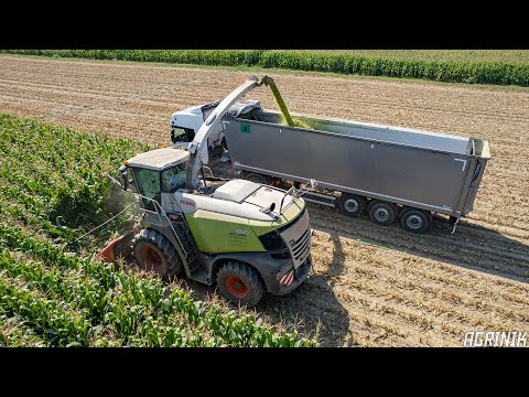 Trinciato Mais 2021 con Claas Jaguar 980