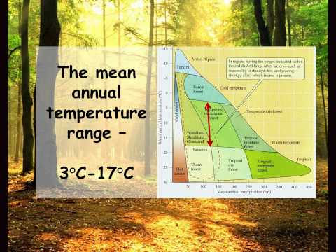 What Are Deciduous Forests Average Tempratures