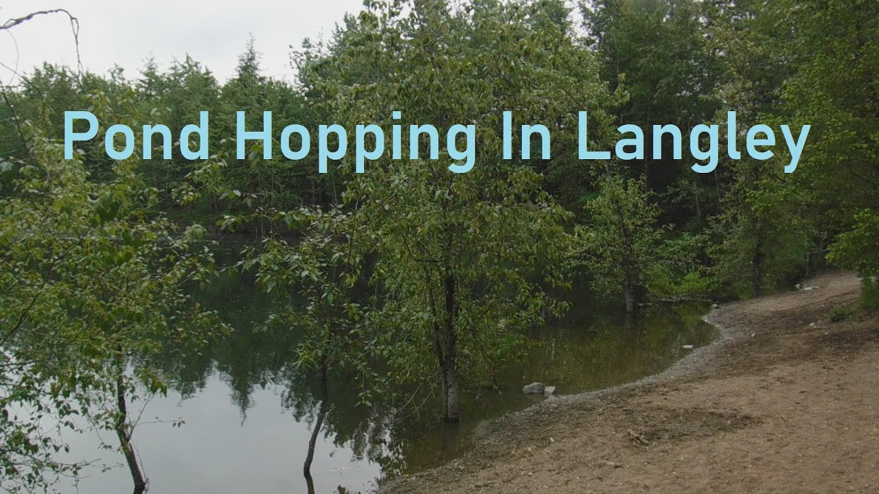 Pond Hopping In Langley - YouTube