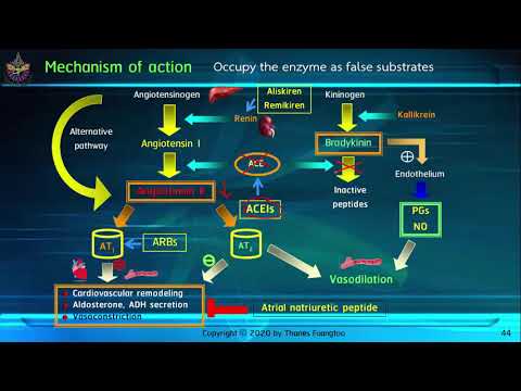Pharmacology for Pharmacy-PHM352_Drugs used in HTN Ep.3-Drugs that ...