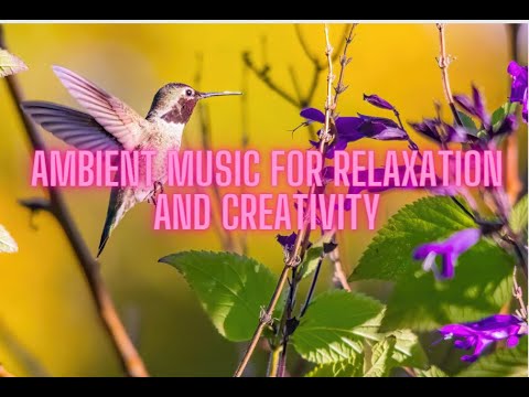 Calm Music | Beautiful Relaxing Peaceful Music | Relaxing Piano Music ...