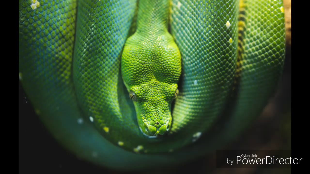 Nikle current remix song - YouTube