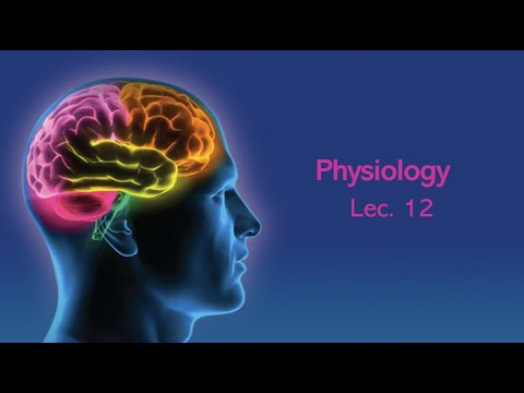 L12 (Reticular formation, ECG & sleep) - Physiology - CNS - YouTube