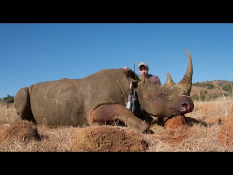 White Rhino hunt Kwa Zulu Natal - YouTube