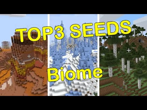 Top 3 Rare Biome Seeds for Java 1.17 | Minecraft - YouTube