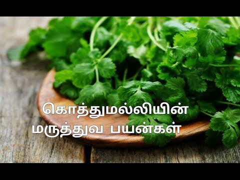 Kothumalli keeraiyin payankal || கொத்துமல்லி கீரையின் பயன்கள் ...