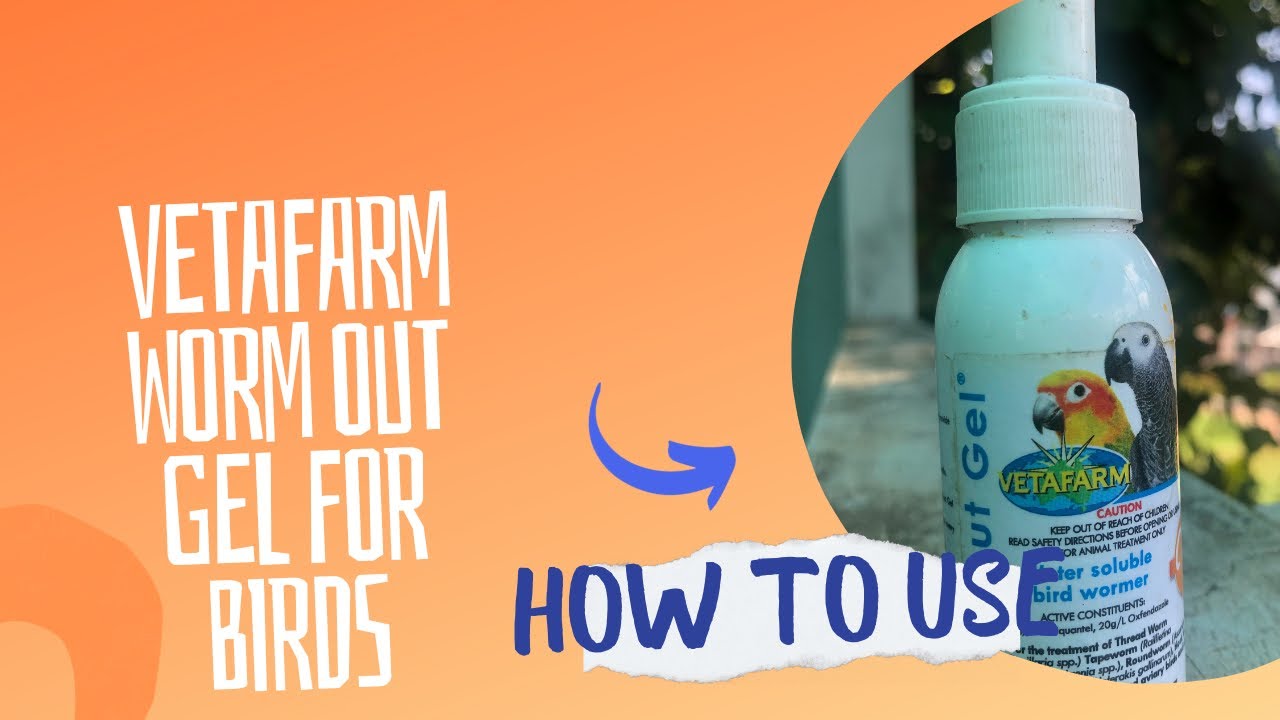 How to use VETAFARM worm out Gel for your birds - YouTube