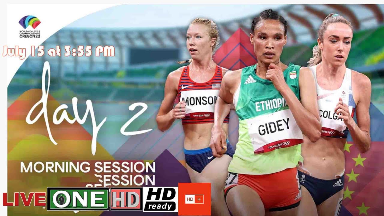 LIVE SPORTS ON ONE HD TELEVISION - YouTube