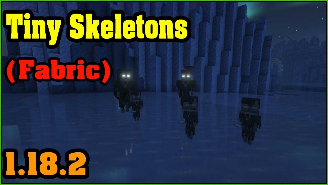 Tiny Skeletons [Fabric] Mod 1.18.2 & How To Install for Minecraft - YouTube