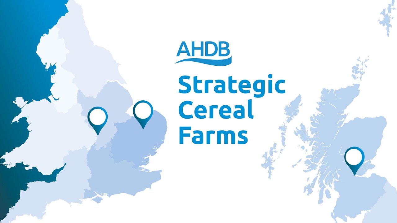 Logotipo De Ahdb UK Farming Unions And AHDB Call For Red Tractor To