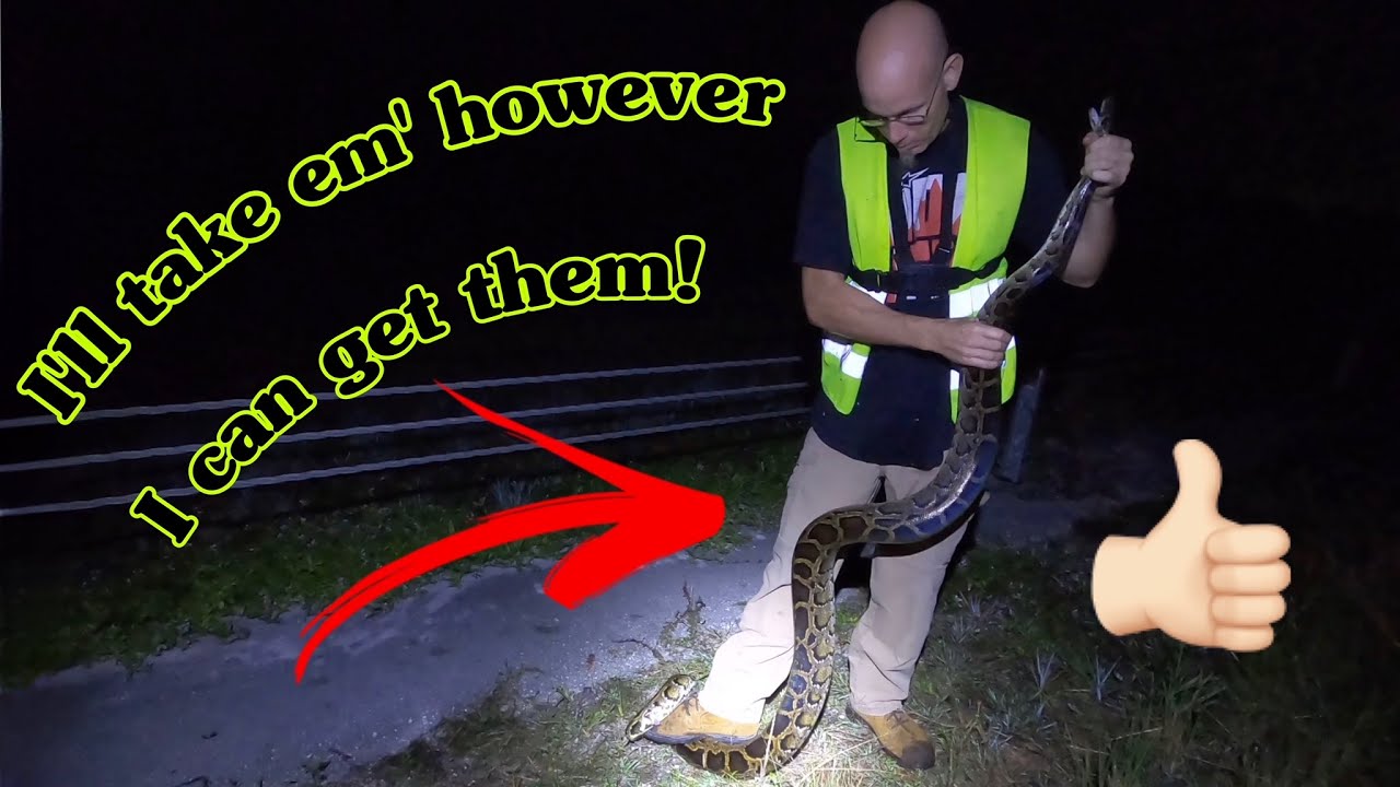 I'll take them how they come! - YouTube