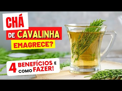 Chá para DESINCHAR, RINS, CORAÇÃO e mais - Benefícios do CHÁ DE CAVALINHA e Dicas