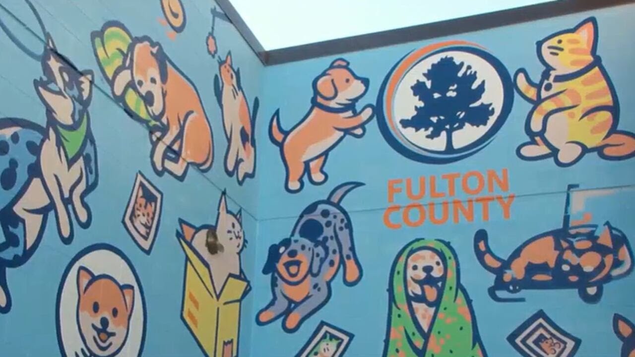 Fulton County threatens to cut off animal control services in Atlanta ...