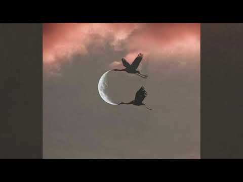 Gülnarəli xatirələr.